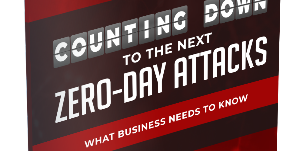 Zero-day attacks - what you need to know - NetData Consulting Services